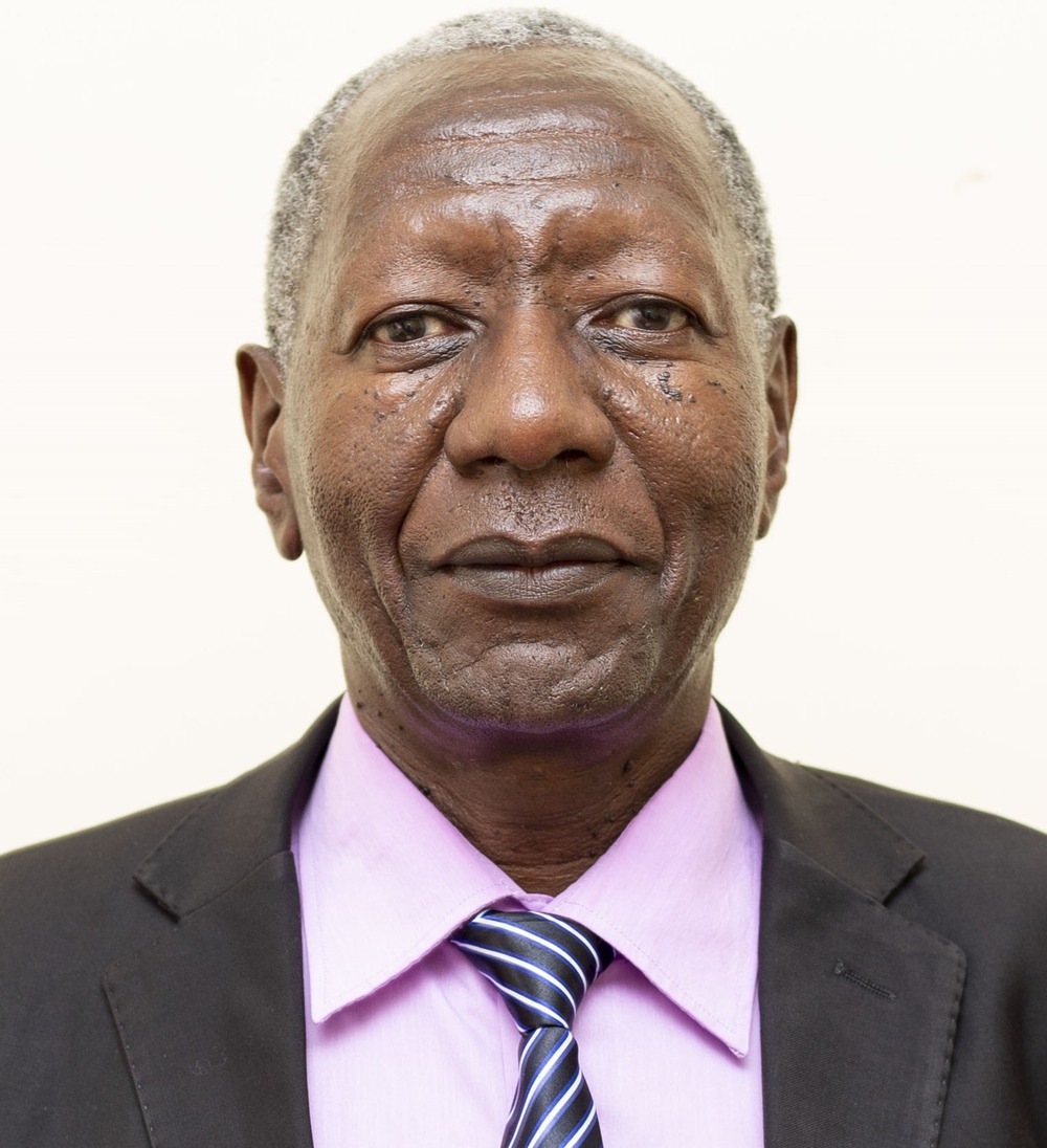 Prof. Dr. Didas Kimaro | MWECAU Conference